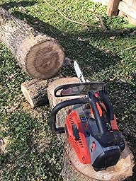 Amazon.com : Tanaka TCS33EDTP/12 32.2cc 12-Inch Top Handle Chain Saw ...