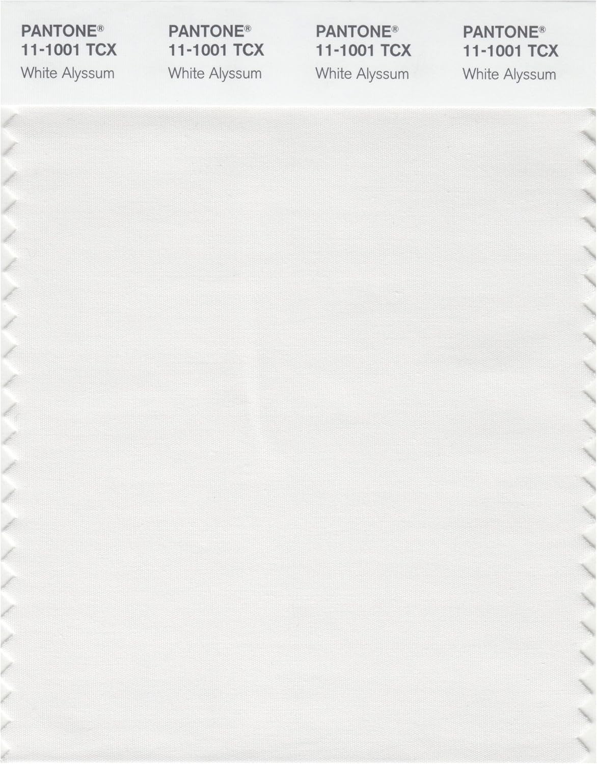 Amazon.com: Pantone 11-1001 TCX Smart Color Swatch Card, White Alyssum ...