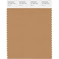 Amazon.com: PANTONE Smart 16-1336X Color Swatch Card, Biscuit : Office ...