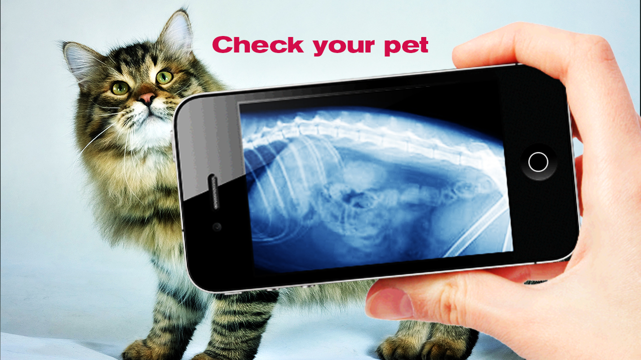 Simulation XRay Cat:Amazon.co.uk:Appstore for Android