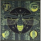 Amazon.com: Brighten (Glow-In-The-Dark Packaging): CDs & Vinyl