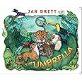 The Umbrella: board book: Brett, Jan, Brett, Jan: 9780399255403: Amazon ...