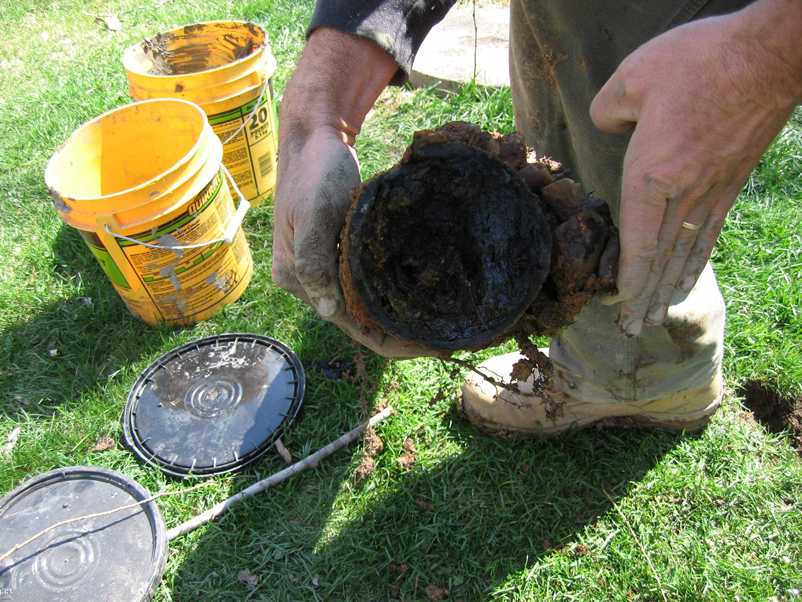 Mua Bio-Safe One Inc - BIO-112 - Septic Tank Treatment - Drainfield ...