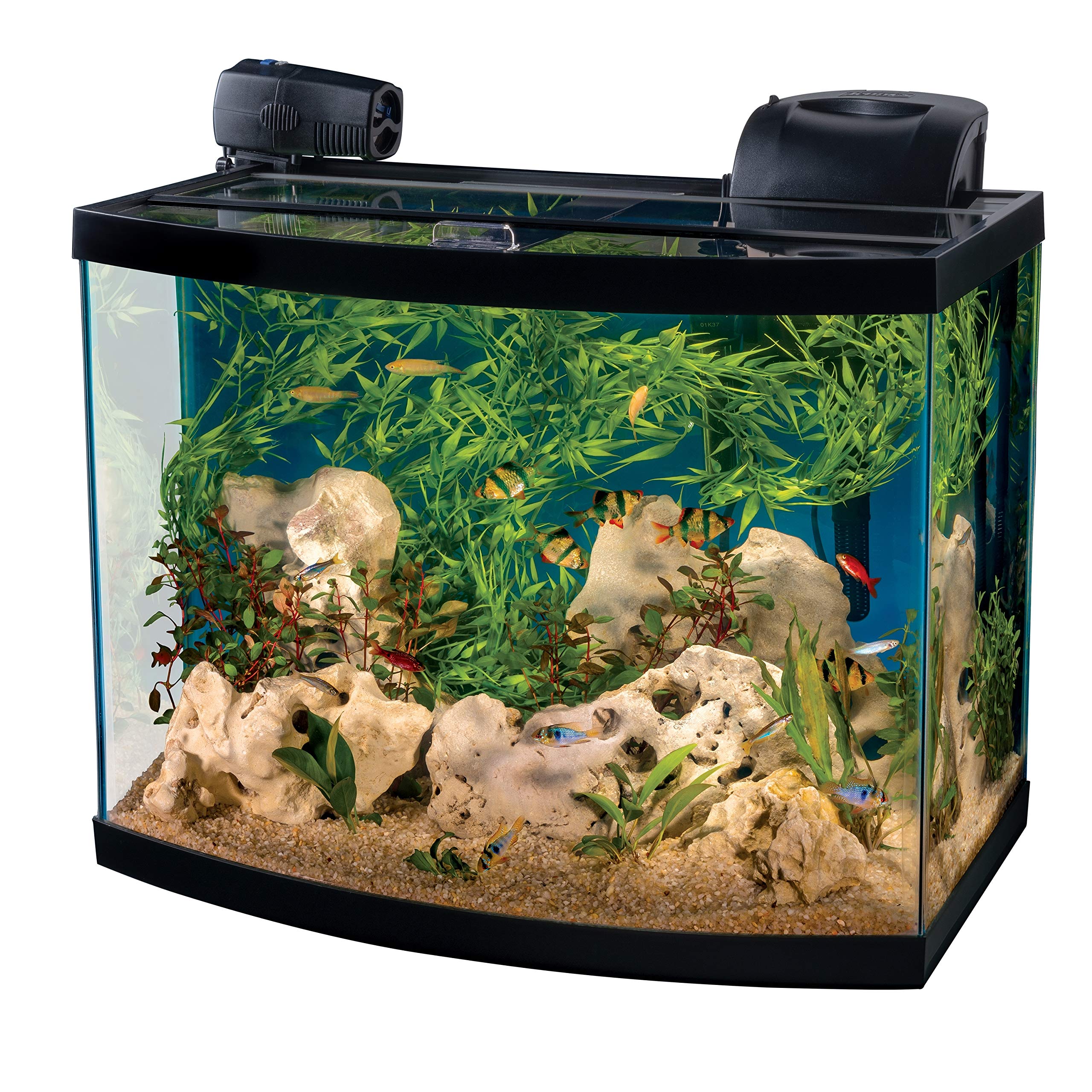 Mua Tetra Connect Curved Aquarium Kit 28 Gallon, with Wi-Fi Feeder and ...