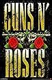 Amazon.com: Trends International Guns N' Roses - Stacked Logo, 22.375 ...
