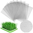 Amazon.com : HFYZZ 8 Pcs Seed Sprouting Tray Mesh Mat, 8.3 x 11.8 ...
