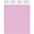 PANTONE Smart 14-2808X Color Swatch Card, Sweet Lilac - House Paint ...