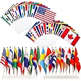 Amazon.com: LZXING 226 Countries International Flags of the World Small ...