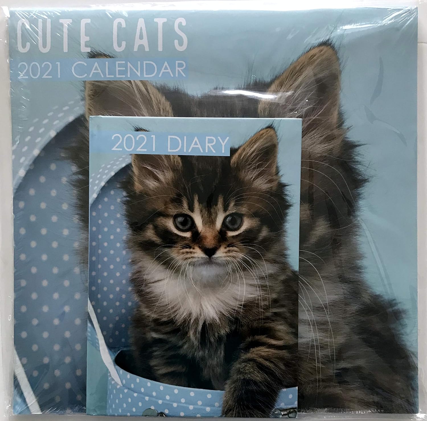 Calendar and Diary Set Cute Cats 2021 – BigaMart