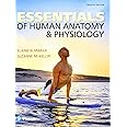 Amazon.com: Essentials of Human Anatomy & Physiology and Modified Mastering A&P with Pearson ...