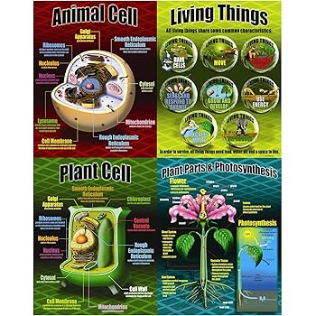 Amazon.com: Generic The Tree of Life Poster Poster Print, 24x36 ...