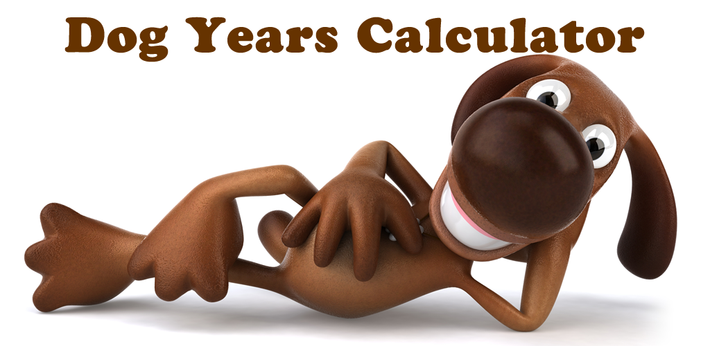 Dog Years Calculator Amazon Appstore For Android