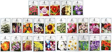 Amazon.com : Set of 25 Premium Selection Flower Seed Packets! Flower ...