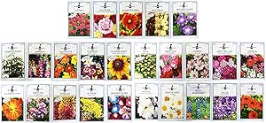 Amazon.com : Set of 25 Premium Selection Flower Seed Packets! Flower ...