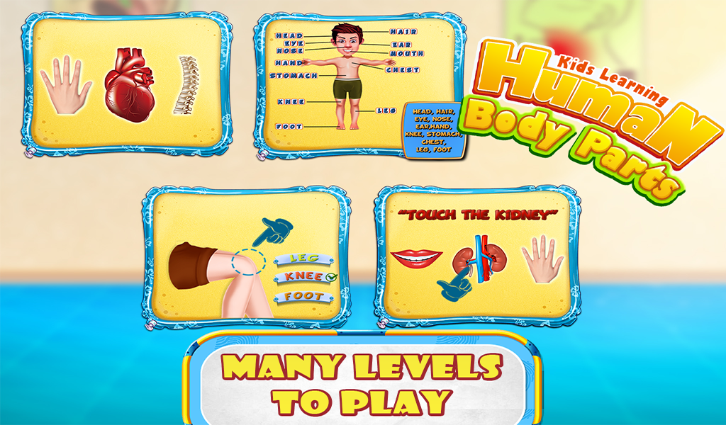 Kids Human Body Parts Learning Game Amazon br Appstore For Android kids-human-body-parts-learning-game-amazon-br-appstore-for-android