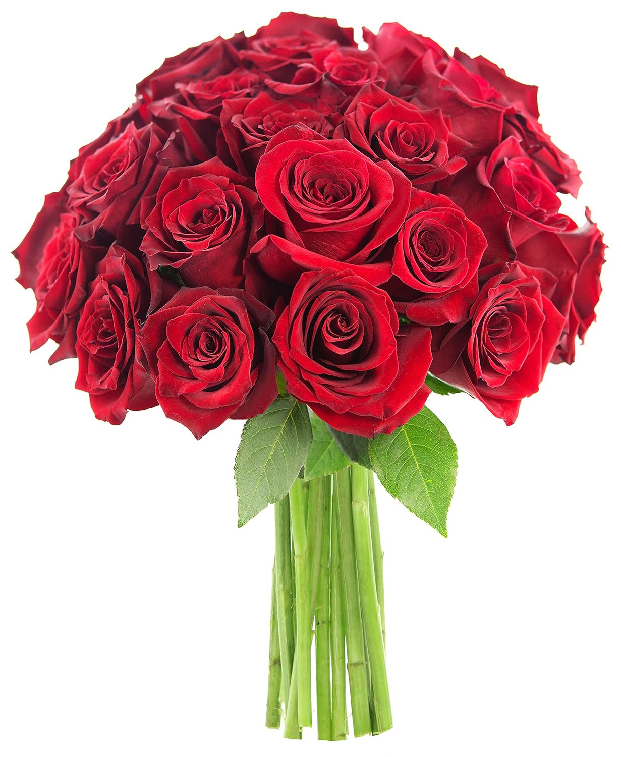 Amazon.com : Bouquet of Long Stemmed Red Roses (Two Dozen) - The ...