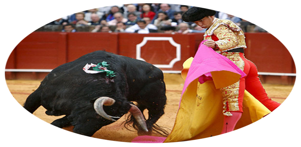Olay Bullfighting