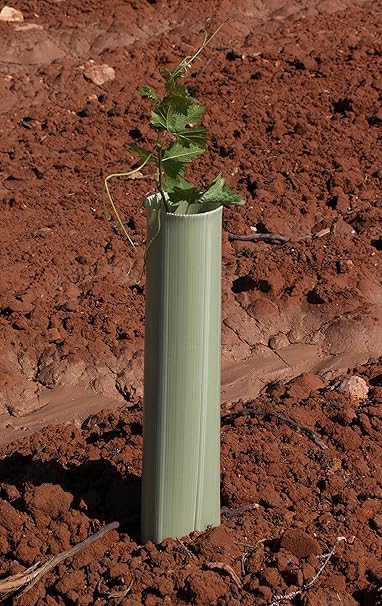 Tree Shelters 100 Pack Standard Green 75cm Sapling Protection Guard ...
