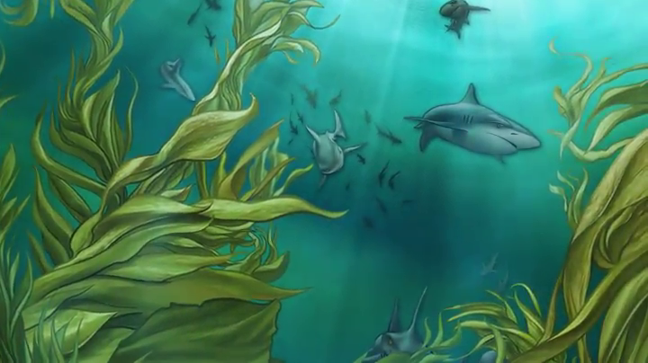 Shark Wars: EJ Altbacker: 9781595143761: Amazon.com: Books