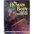 The Human Body: Fearfully And Wonderfully Made: Jay L. Wile, Marilyn M ...