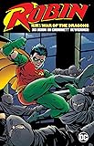 Amazon.com: Robin Vol. 3: Solo (9781401263621): Chuck Dixon: Books