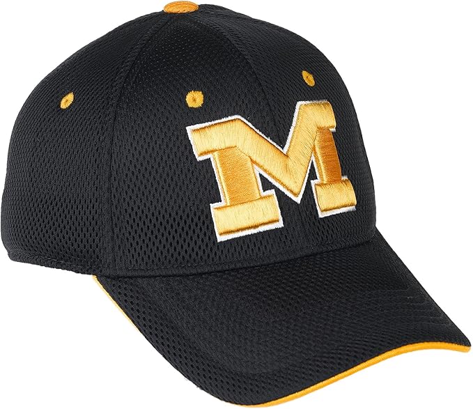 Amazon.com : University of Michigan Elite Team Color One-Fit Hat ...