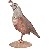 Amazon.com: Regal Art & Gift Female Quail Decor