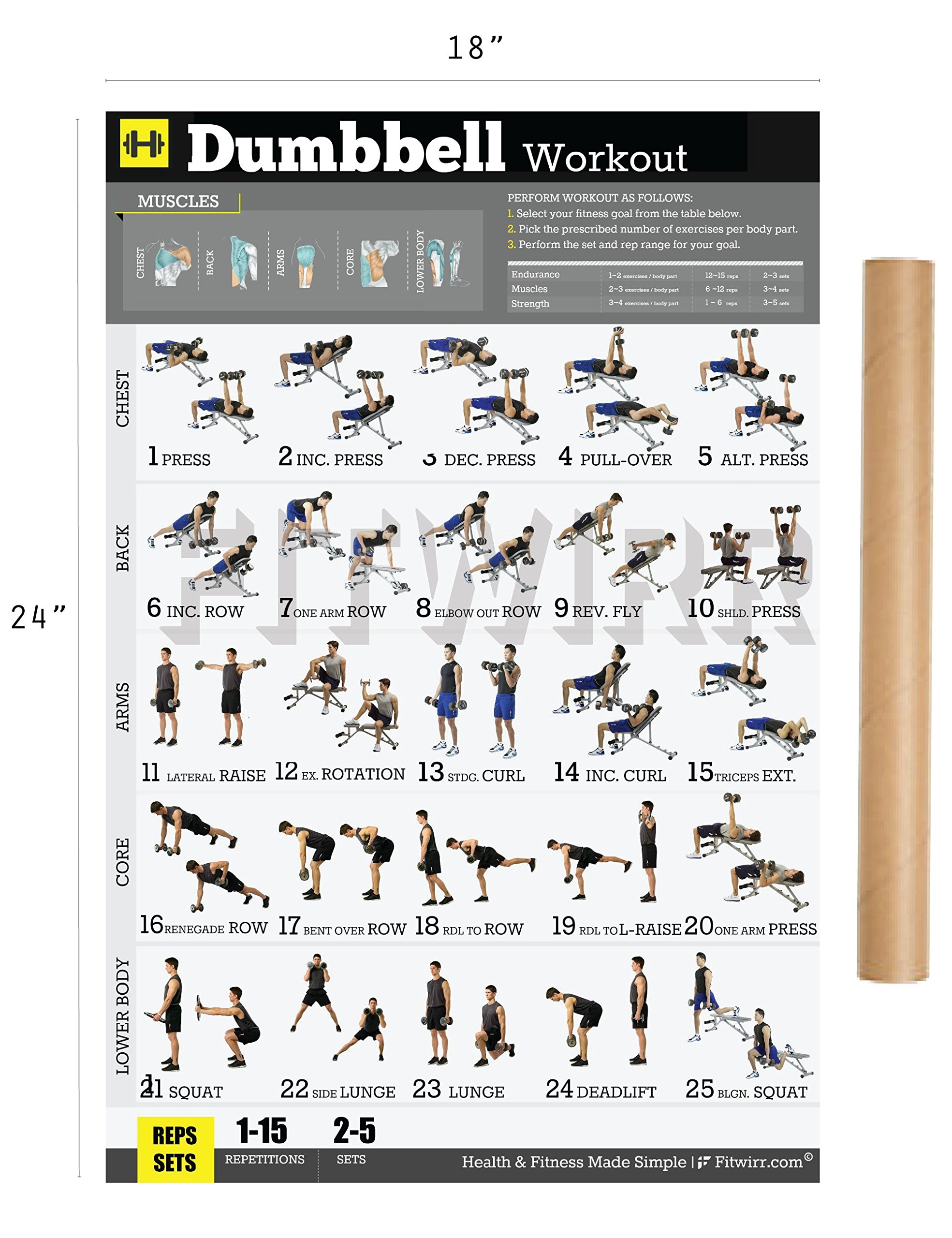 Dumbbell Exercises Workout Poster Now Laminated Home Gym Workout 