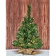 Amazon.com: Osfvn Small Christmas Tree 2ft Prelit Battery Operated ...