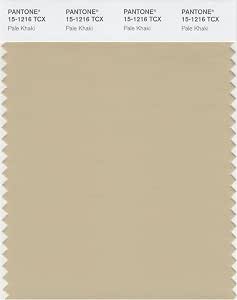 PANTONE Smart 15-1216X Color Swatch Card, Pale Khaki - House Paint ...