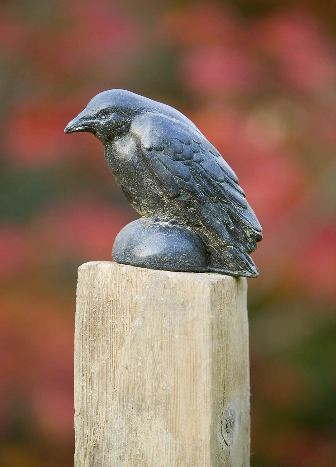 Amazon.com : Campania International A-357-TN Raven Statue, Small, Terra ...