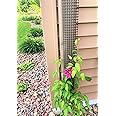Amazon.com : Downspout Rain Gutter Trellis Kit for Outdoor Climbing ...