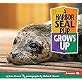 Amazon.com: A Harbor Seal Pup Grows Up (Baby Animals): 9780822500926 ...