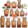 Amazon.com: Der Rose Bud Vases in Bulk Glass Vase for Centerpieces Set ...