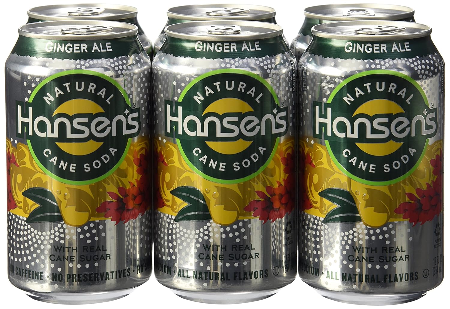 Amazon.com : Hansen's Soda, Ginger Ale, 6-Pack, 12 oz : Grocery ...