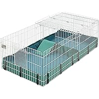 Amazon.com : Mid West Homes for Pets Guinea Habitat Plus Guinea Pig ...