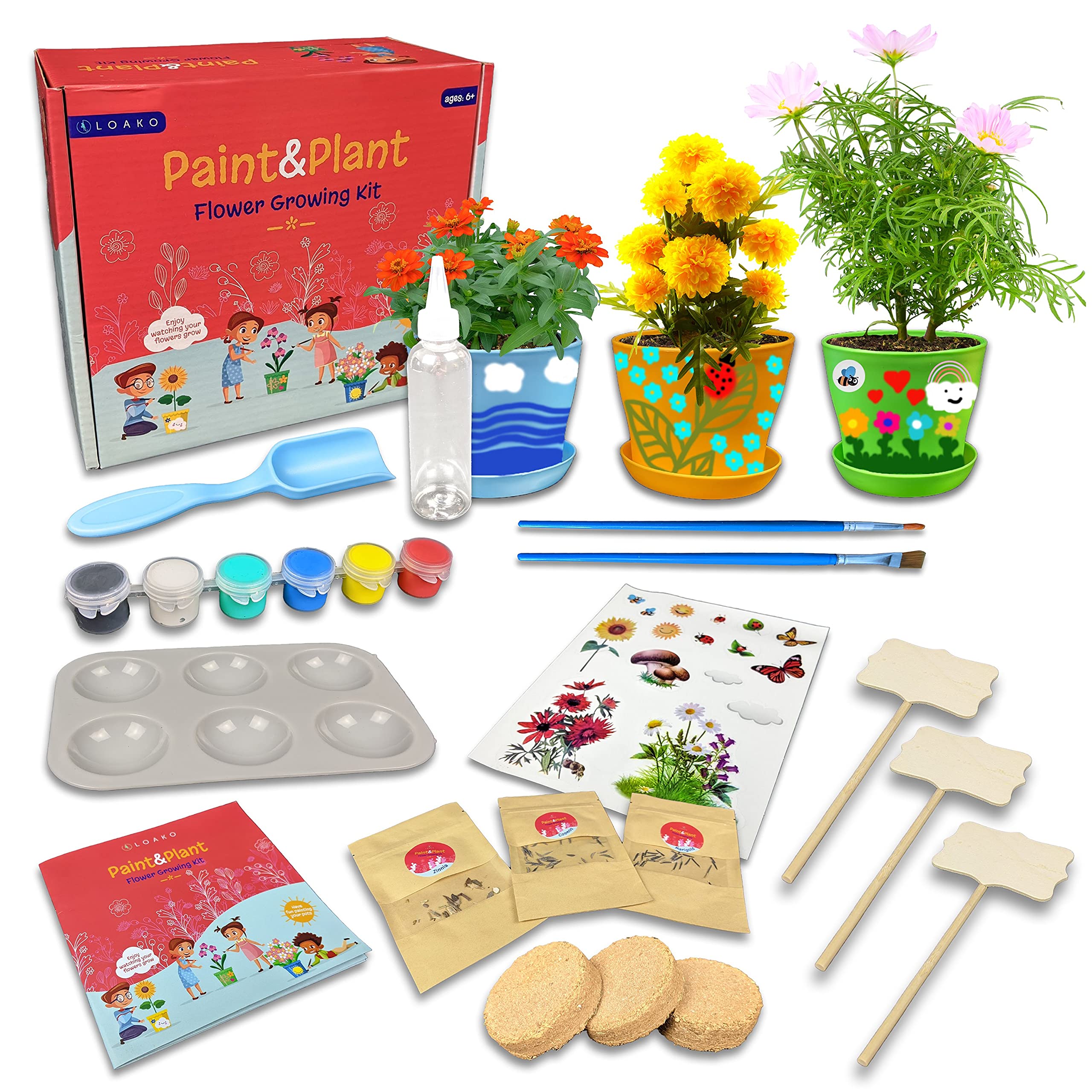 Mua Paint and Plant Flower Growing Kit for Kids - Kids Gardening Set ...