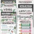 Amazon.com: 12 Cactus Parts Of Speech Posters For Elementary Posters ...