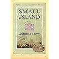Amazon.com: Small Island: A Novel: 9780312429522: Levy, Andrea: Books