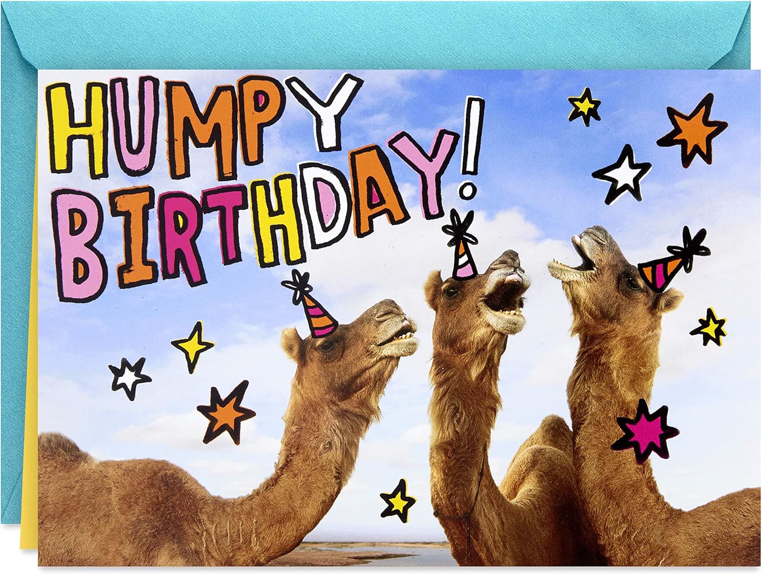 Hallmark Shoebox Funny Birthday Card (Humpy Birthday Camels) (349RZF1046)