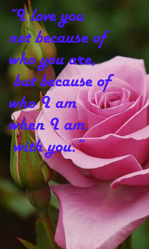 Amazon.com: Cute Love Quotes WP: Appstore for Android