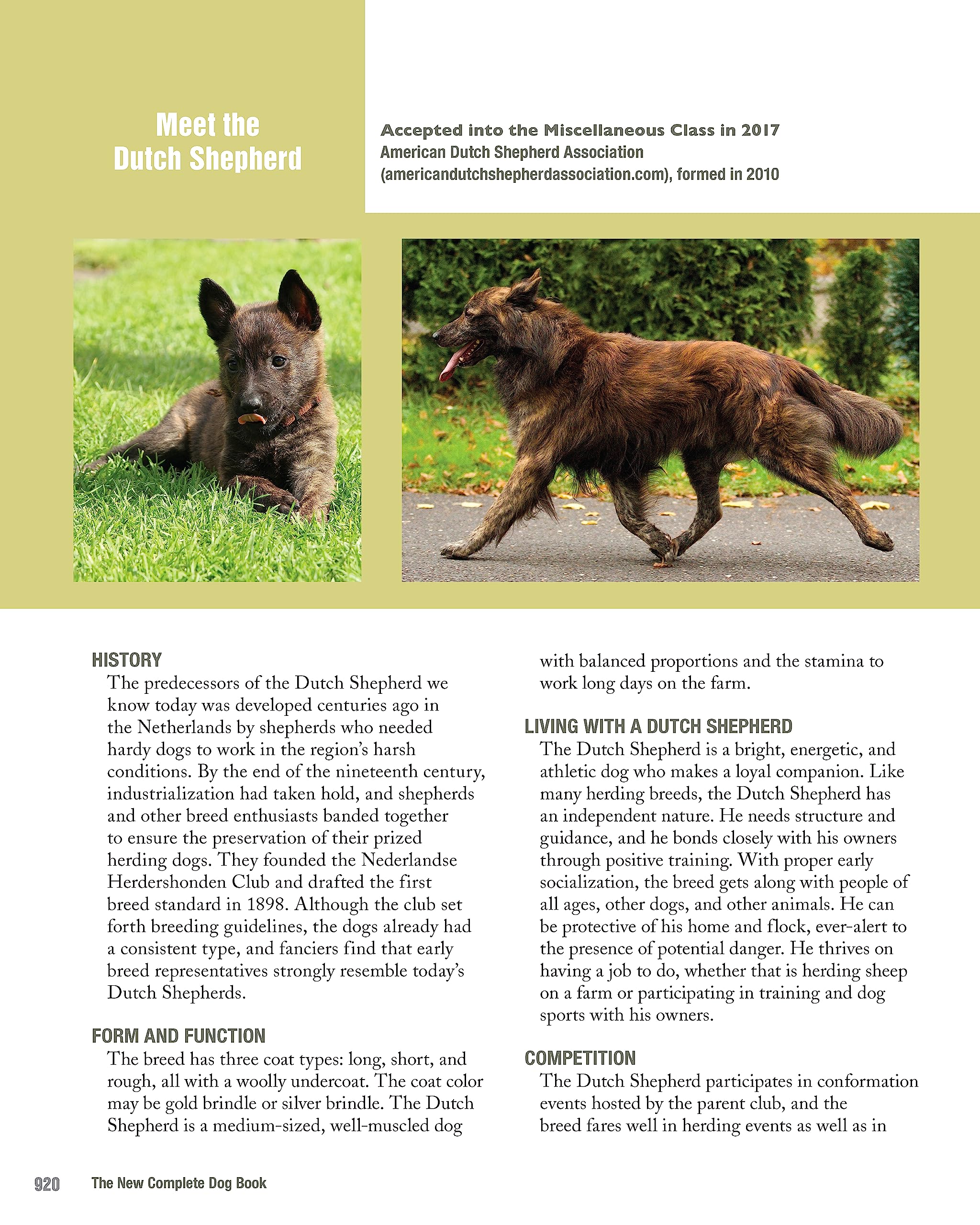 Mua The New Complete Dog Book, 23rd Edition: Official Breed Standards and Profiles for Over 200 ...