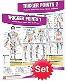 Reflexology-Laminated: 9781423223078: Medicine & Health Science Books ...