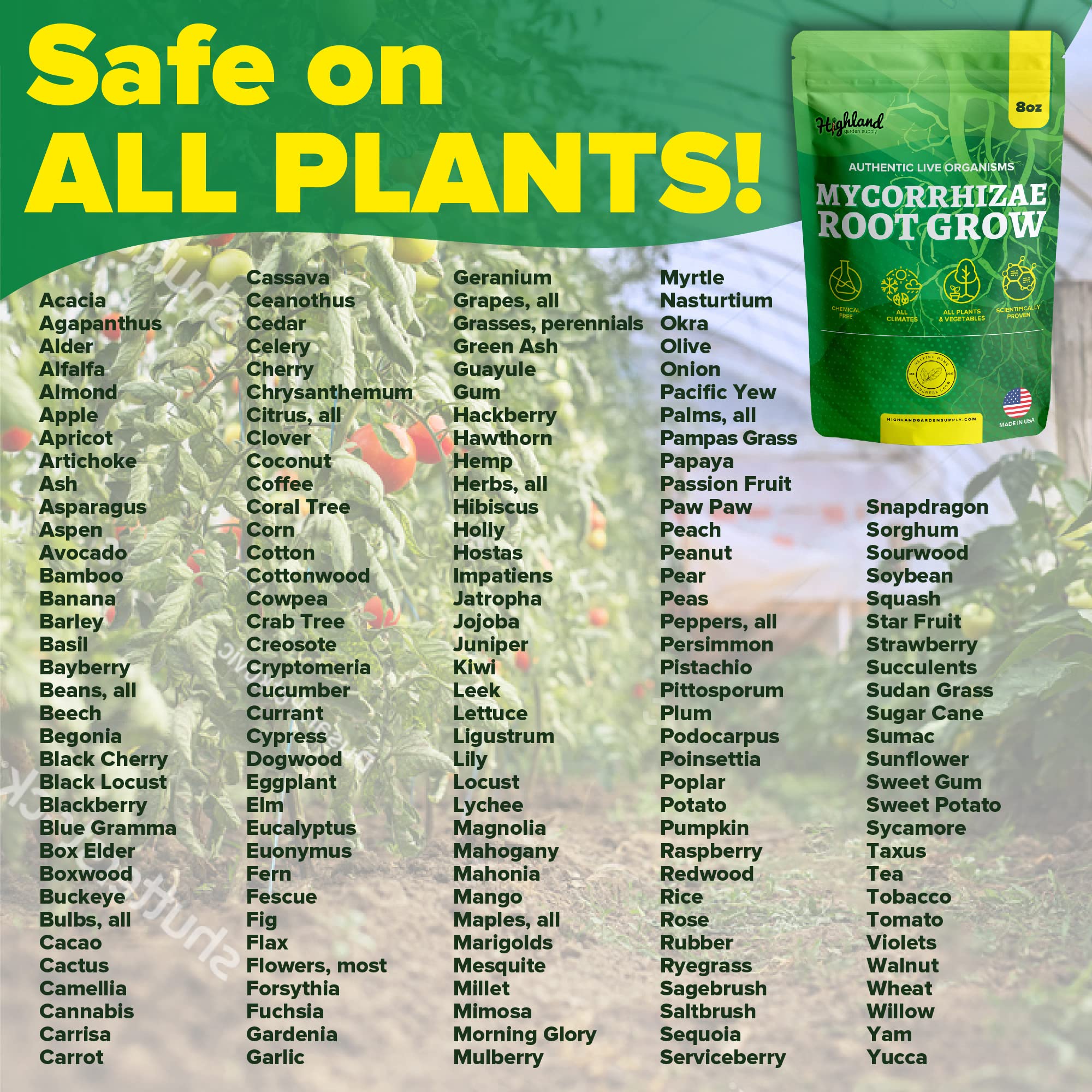 Mycorrhizal Fungi Root Grow All Natural Mycorrhizae For Plants Myco ...