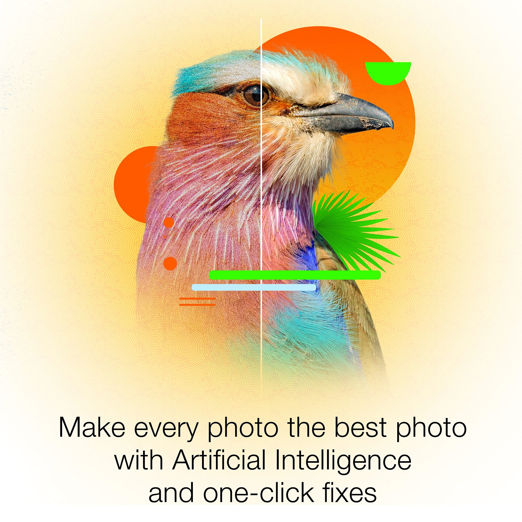 Mua [Old Version] Corel PaintShop Pro 2022| Photo Editing & Graphic ...