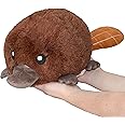 Amazon.com: Squishable / Mini Baby Platypus - 7" : Toys & Games
