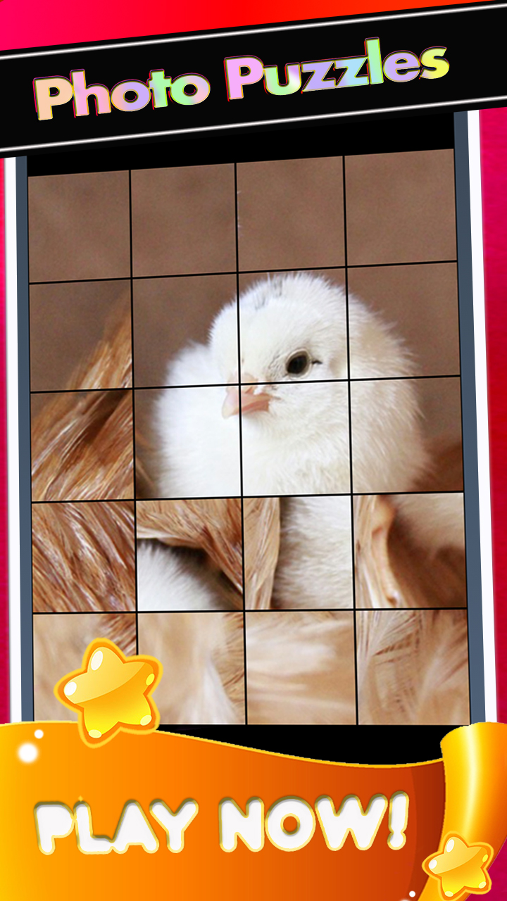 Amazon.com: Cute Chick Pictures-Baby Chickens Puzzle Game: Appstore for ...