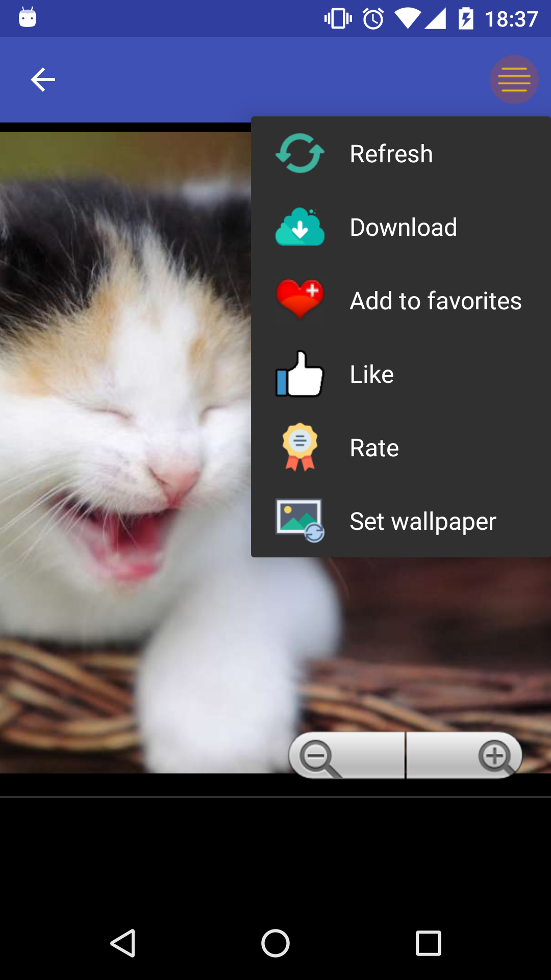 Amazon.com: Cats Wallpapers: Appstore for Android