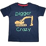 The Flying Diggers: Amazon.co.uk: Ian Whybrow, David Melling ...