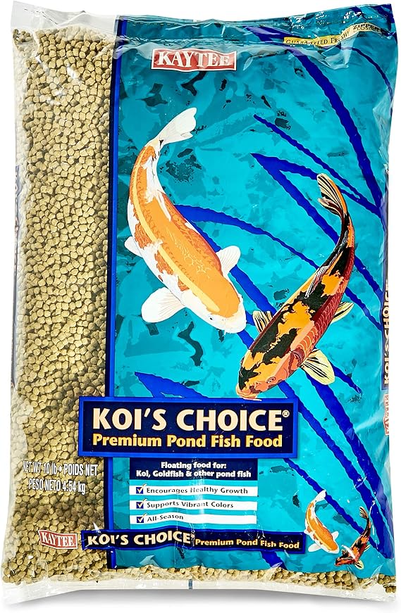 What do Koi Fish Eat? Best Koi Food Options - Aquarium Friend